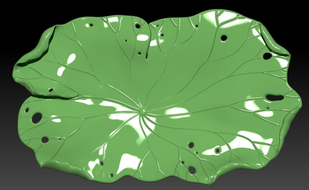 Dried Lotus leaf 3D model 3D printable | CGTrader