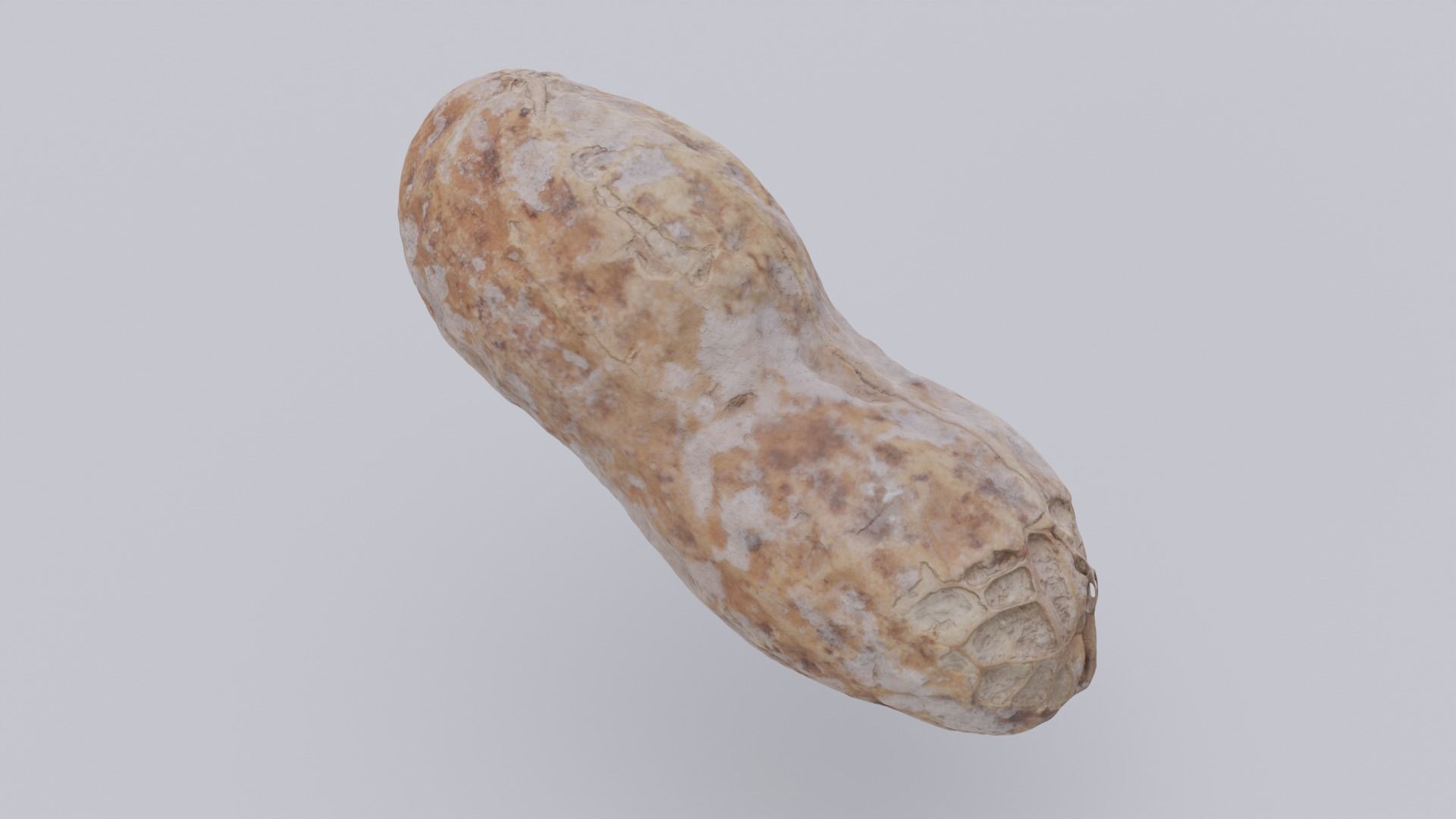 Photoscanned Realistic Salted Peanut 3D model | CGTrader