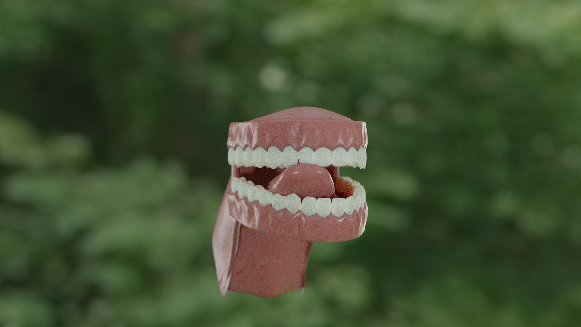 Realistic human jaw with teeth and tongue 3D model animated rigged ...