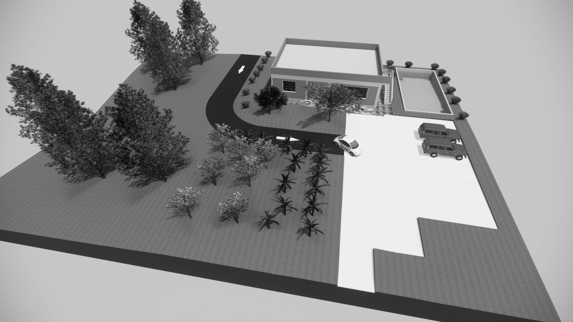 Resort house with swimming pool and parking and garden in Revit 3D ...