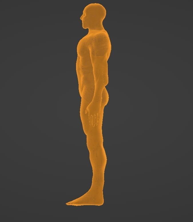 THE STRONGEST MAN 3D model rigged | CGTrader