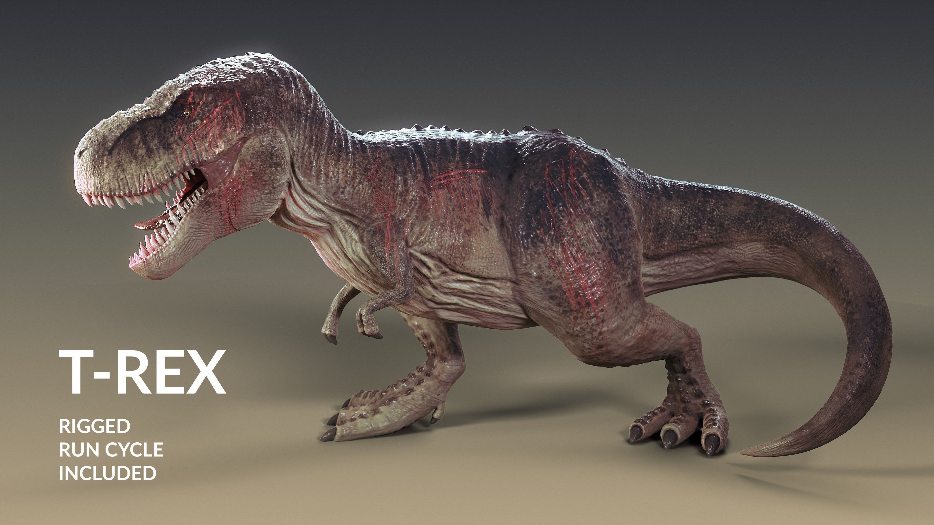 Tyrannosaurus Rex Blender Rigged t-rex 3D model animated rigged | CGTrader