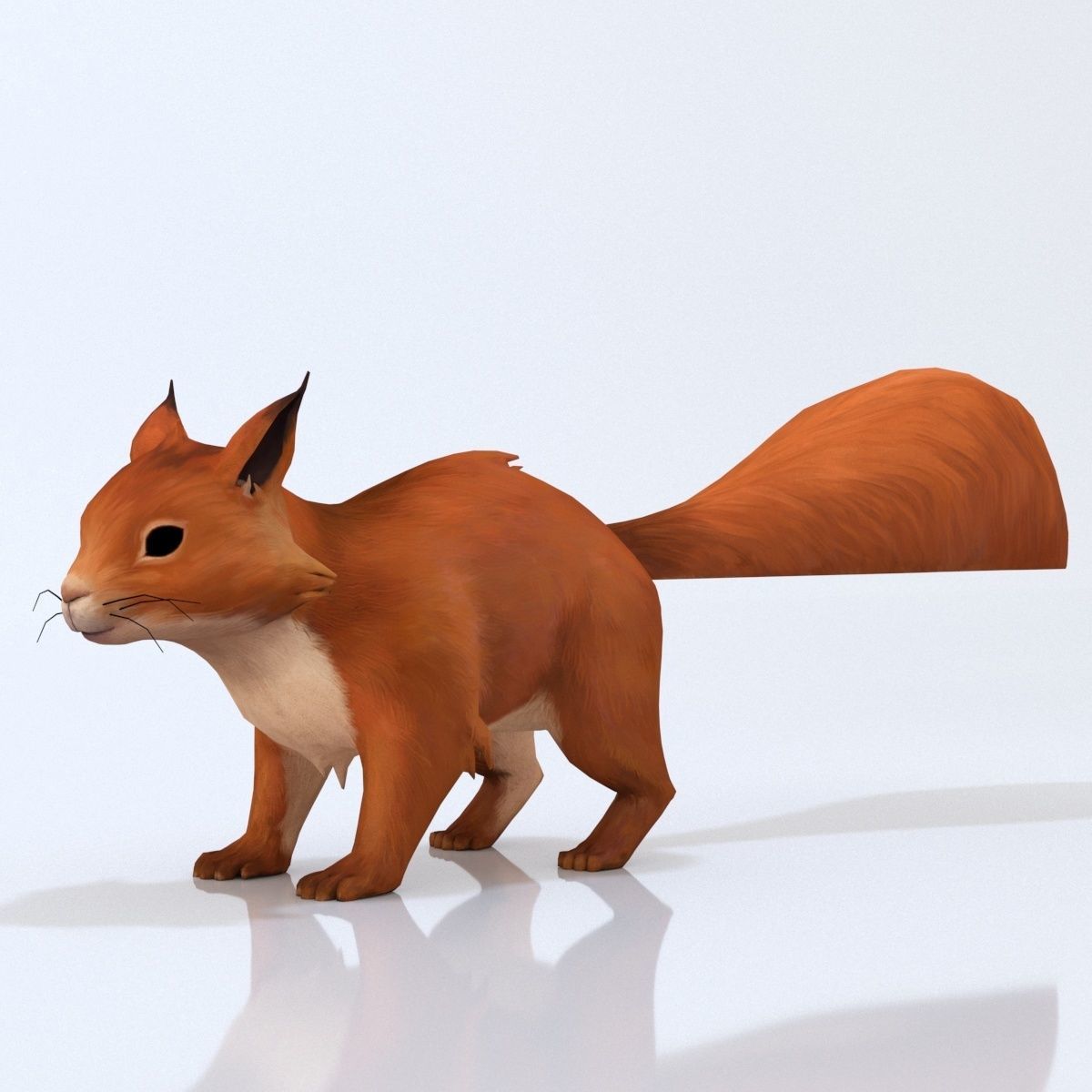 3D model Squirrel colorful VR / AR / low-poly | CGTrader