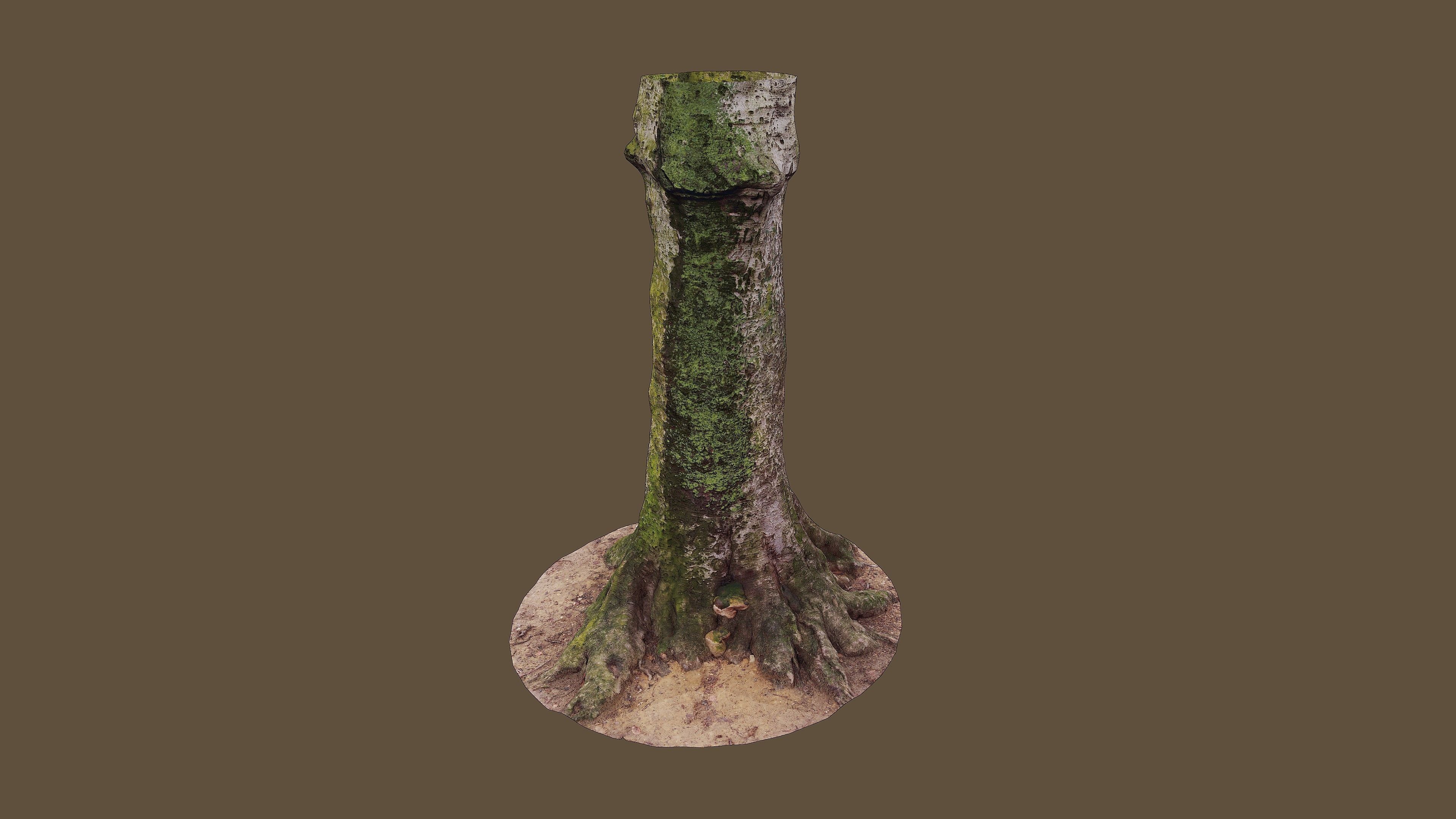 Tree trunk 3d scan retopologed free 3D model | CGTrader