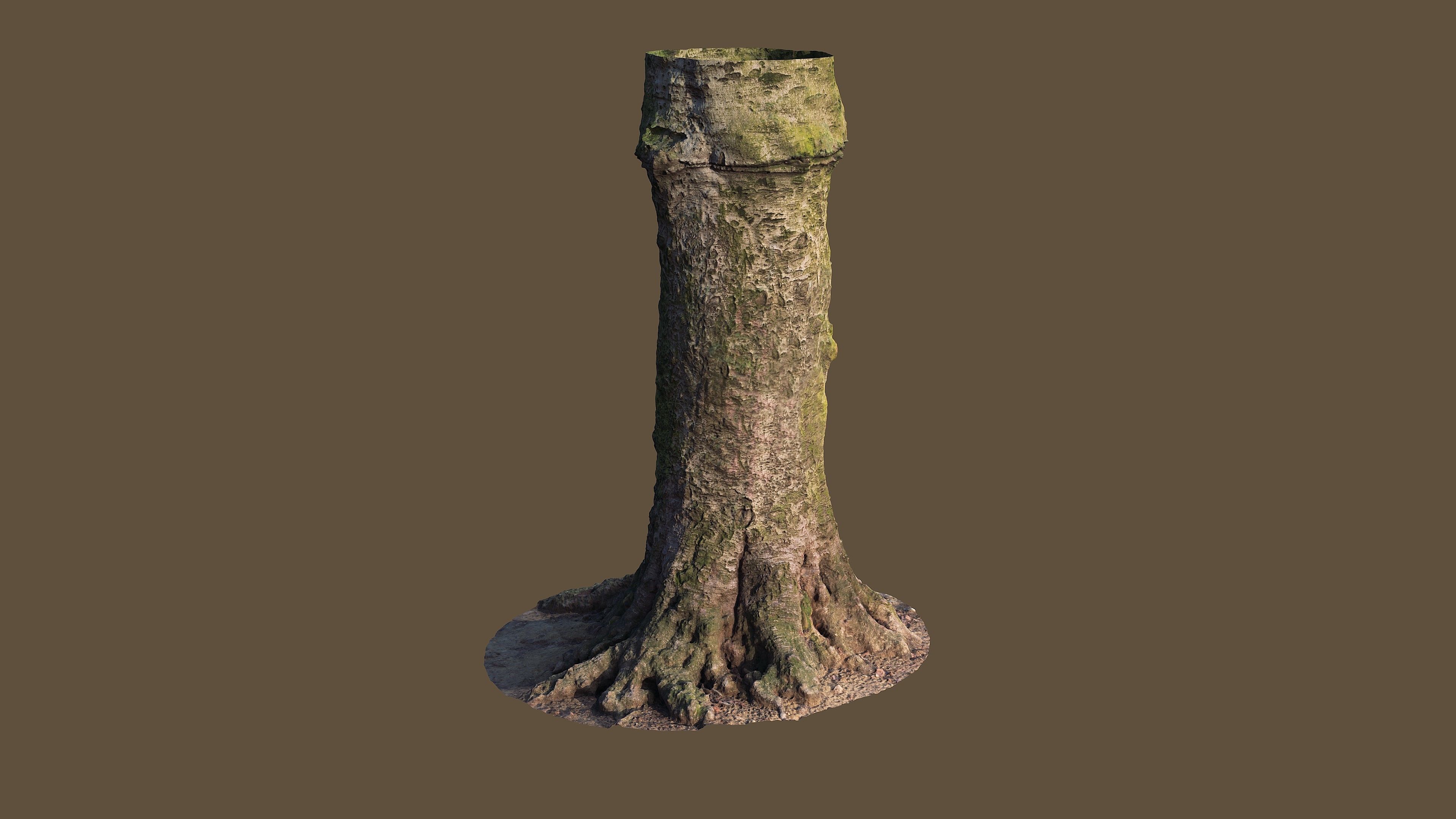 Tree trunk 3d scan retopologed free 3D model | CGTrader
