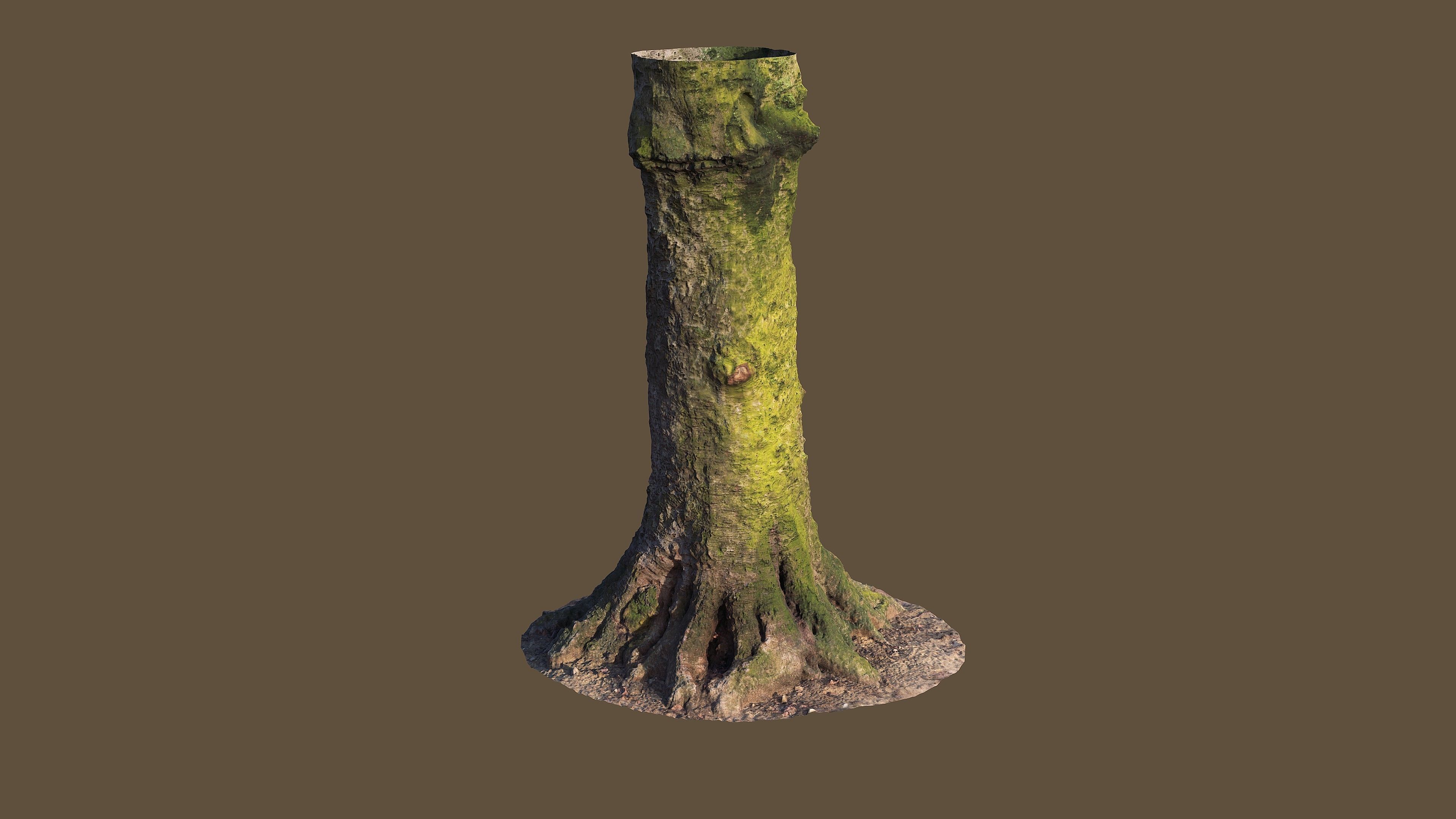 Tree trunk 3d scan retopologed free 3D model | CGTrader
