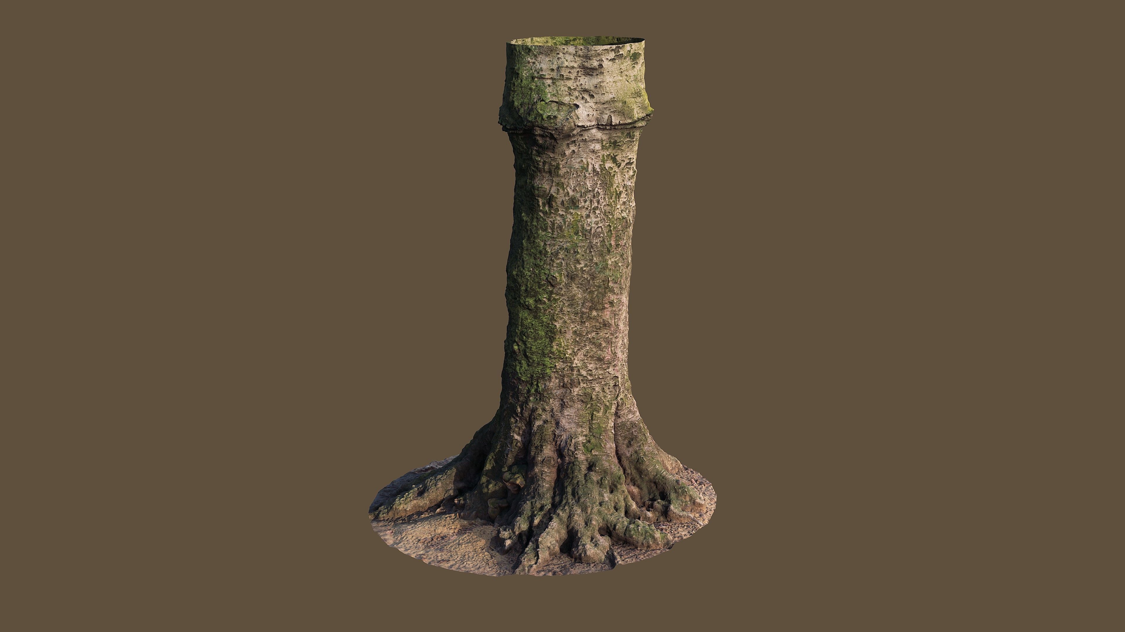 Tree trunk 3d scan retopologed free 3D model | CGTrader