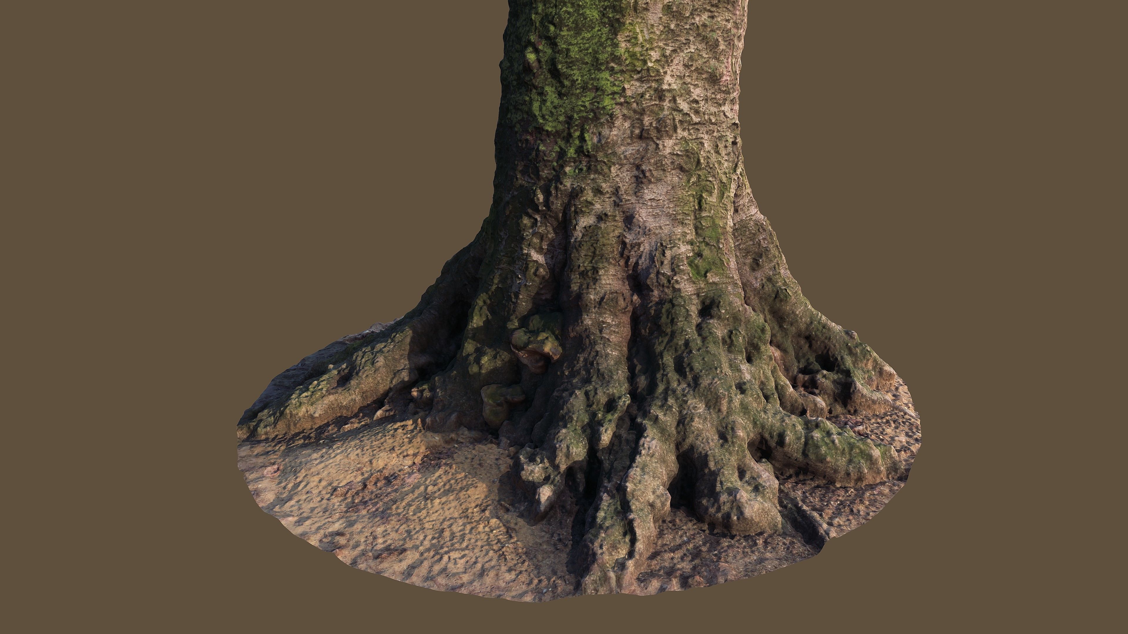 Tree trunk 3d scan retopologed free 3D model | CGTrader