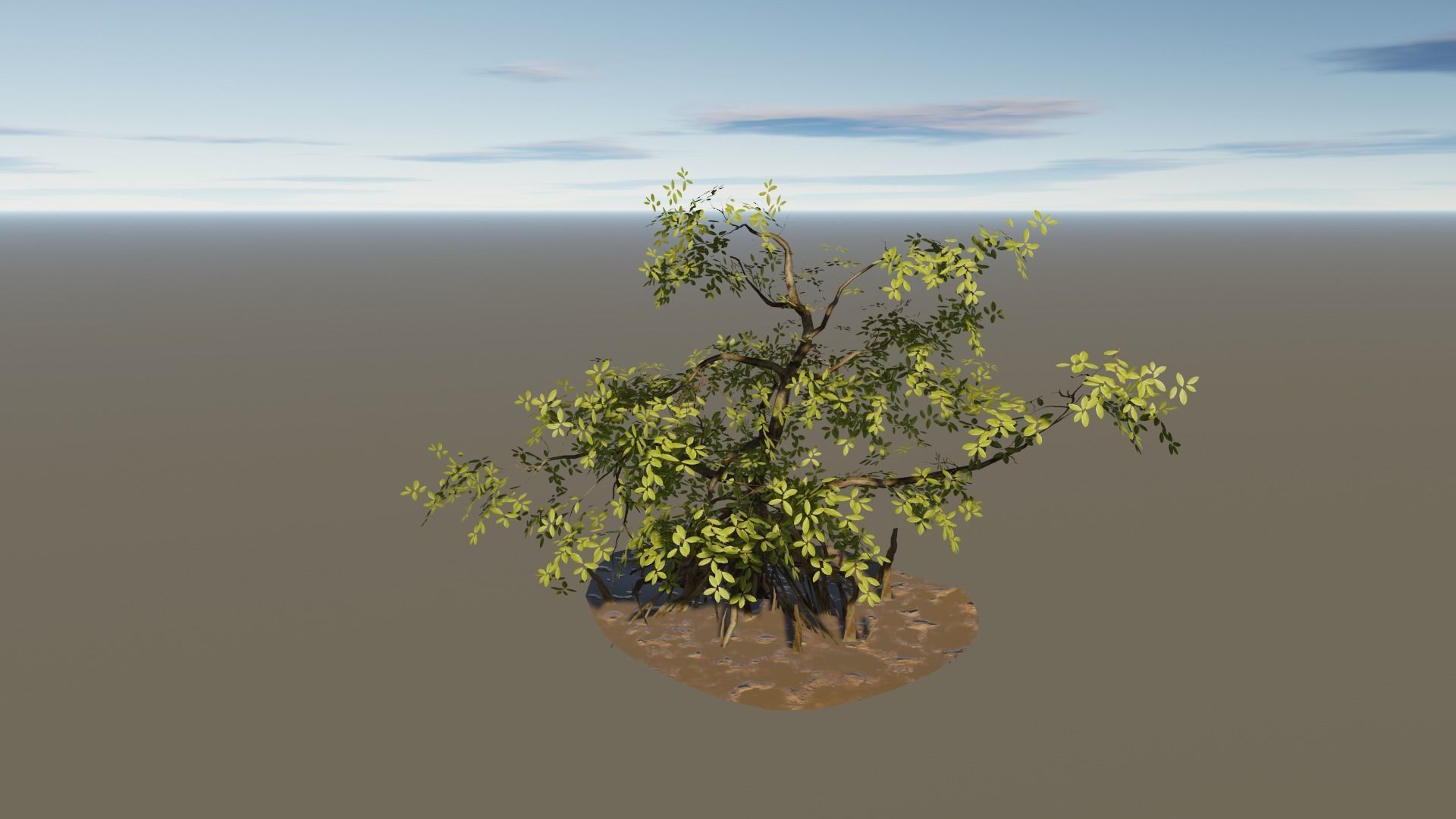 3D model Mangrove Tree VR / AR / low-poly | CGTrader