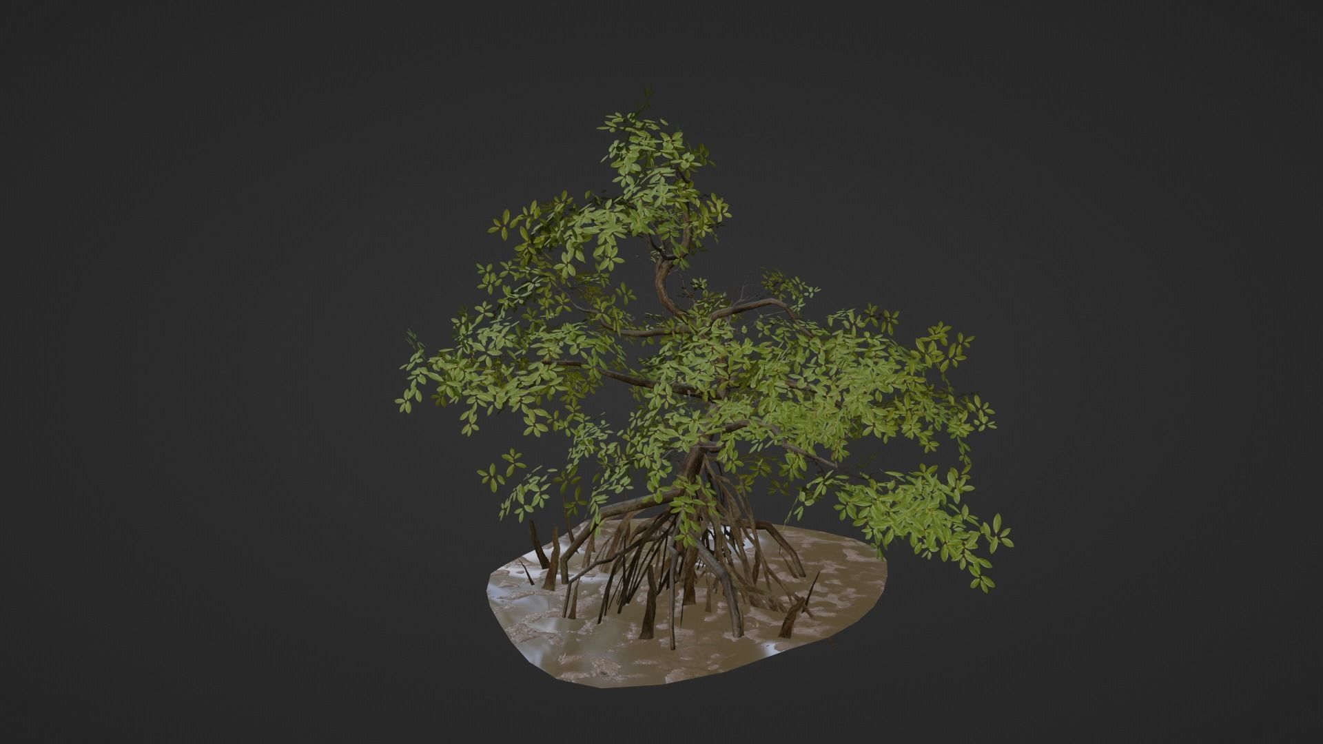 3D model Mangrove Tree VR / AR / low-poly | CGTrader