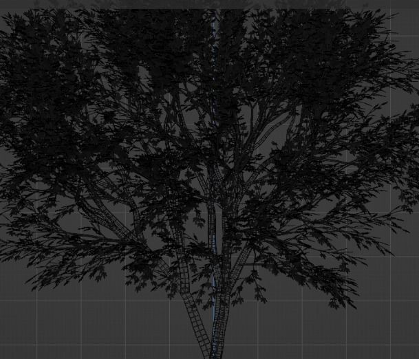 Japanese maple tree 3D model animated rigged | CGTrader