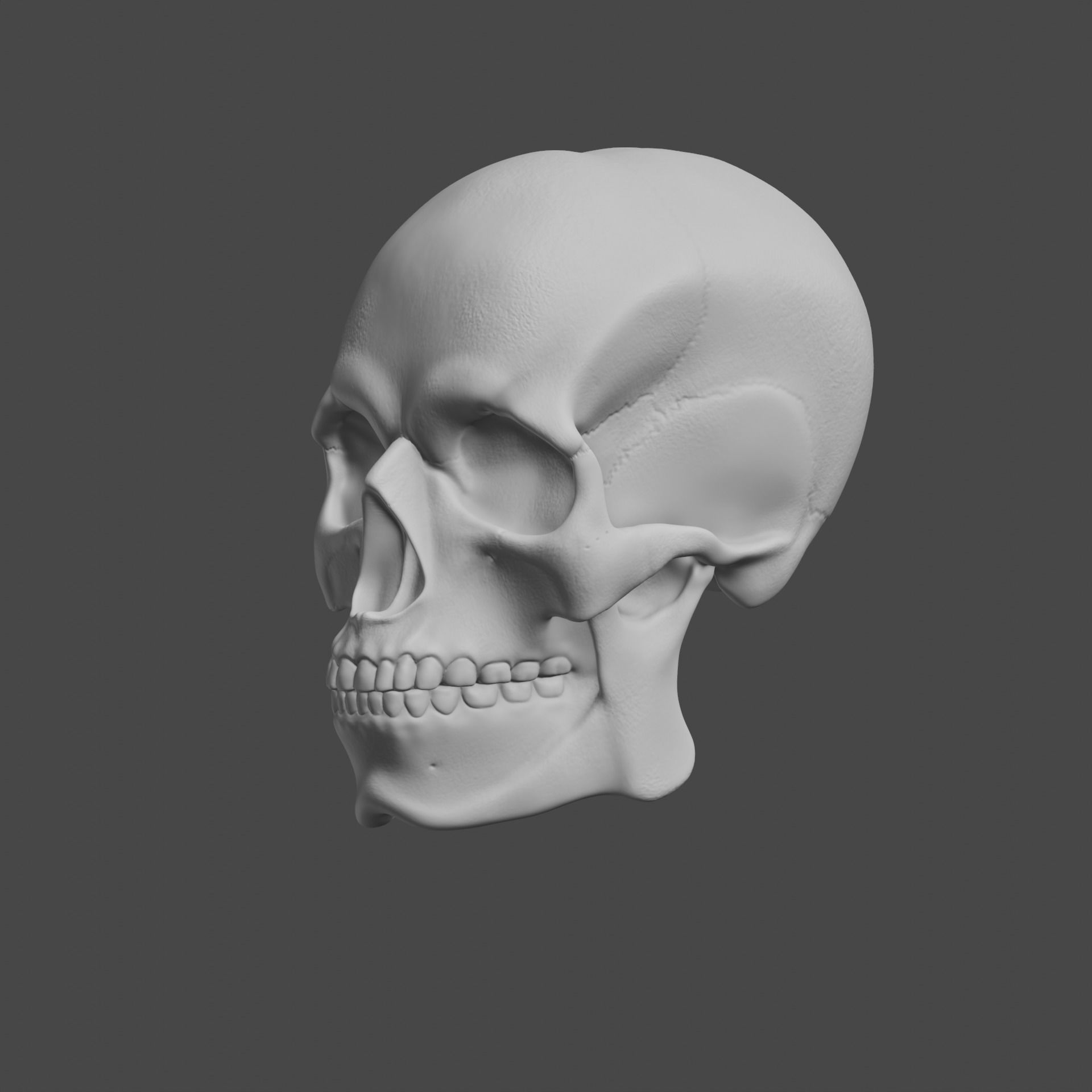 Skull 3D model 3D printable | CGTrader
