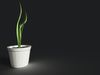 3D model sneck plant 3D model with texture VR / AR / low-poly | CGTrader