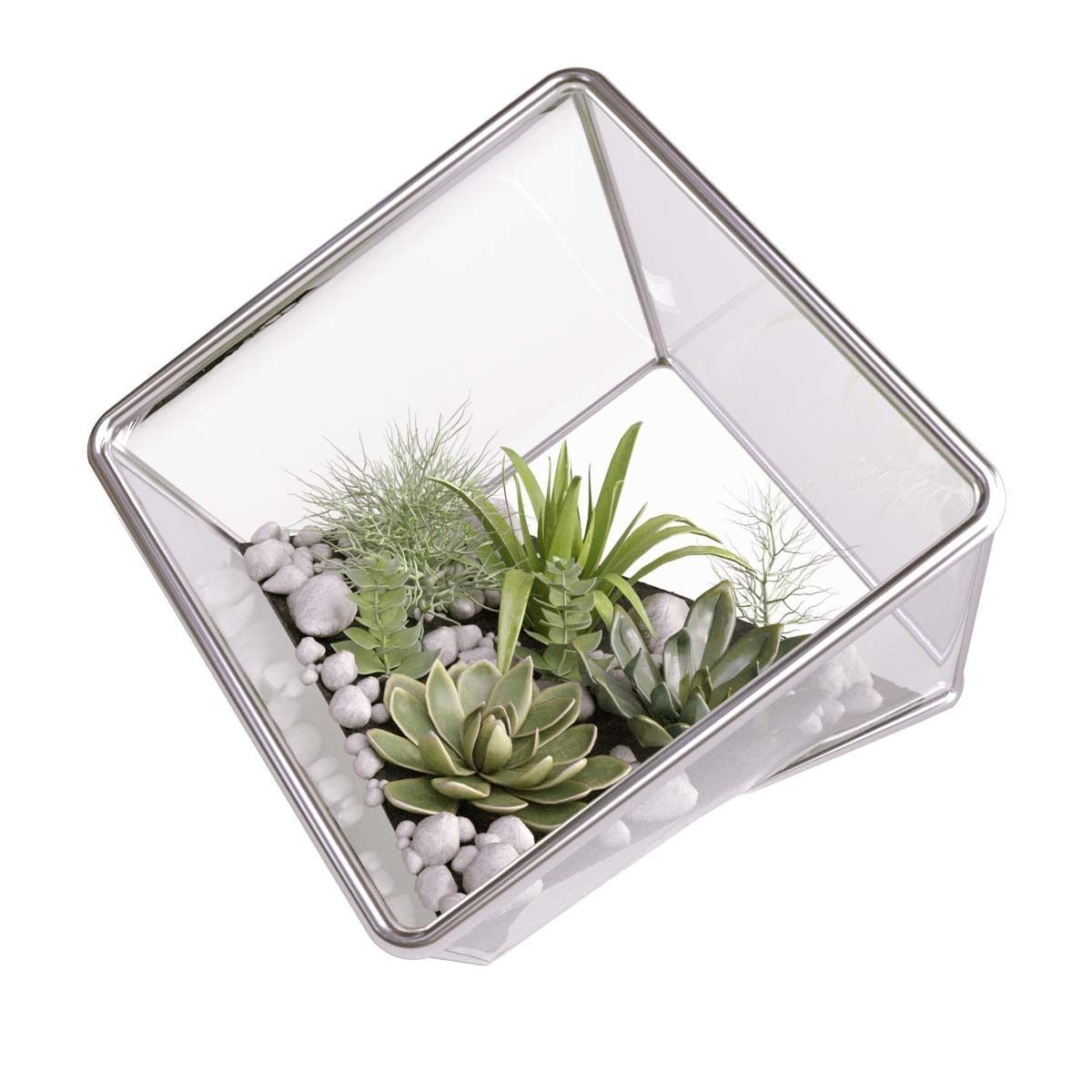 Florarium cube with succulents 3D model | CGTrader