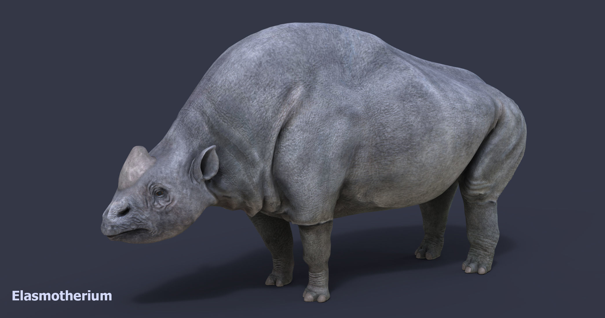 Extinct animals pack version 18 3D model | CGTrader