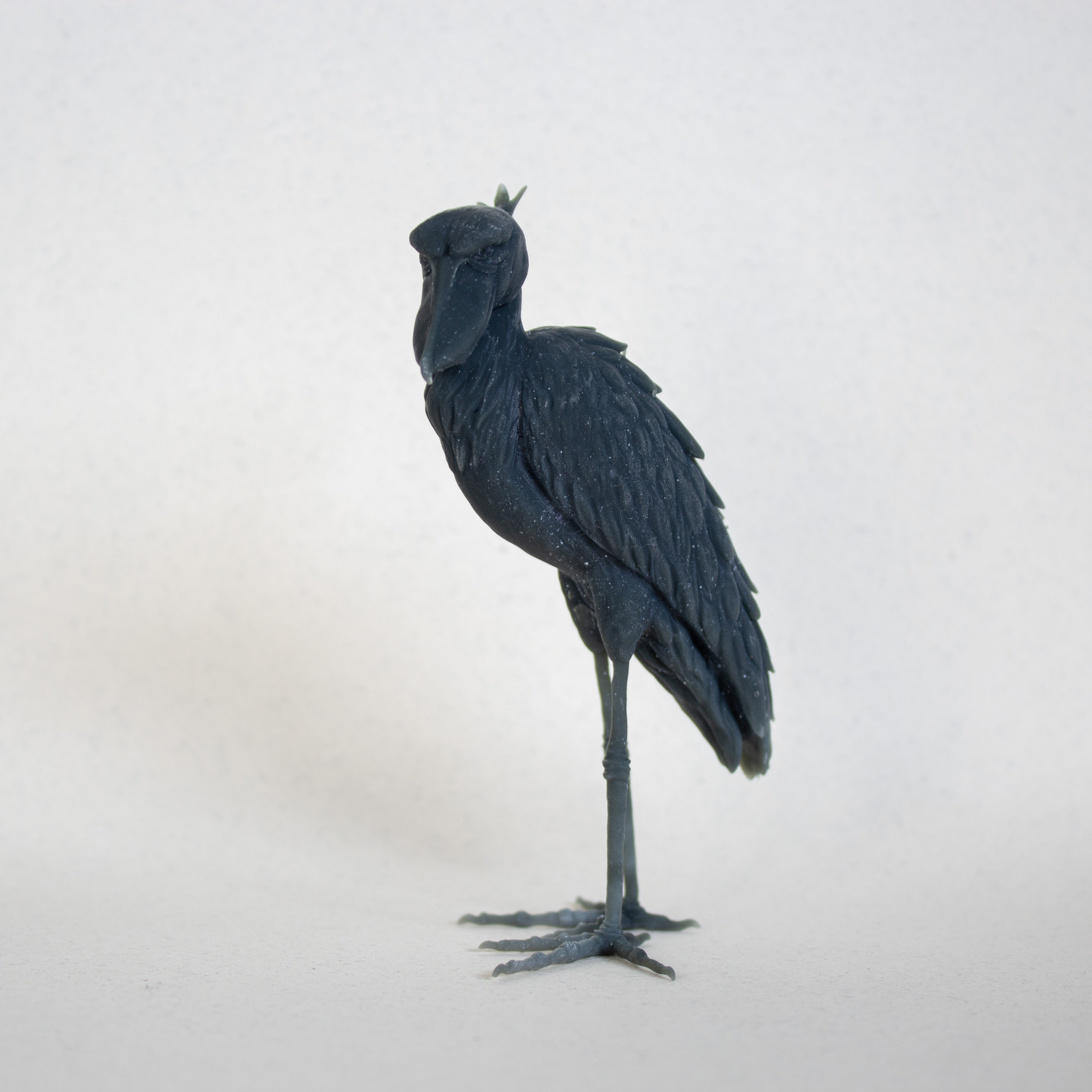 Shoebill for 3D Printing 3D model 3D printable | CGTrader