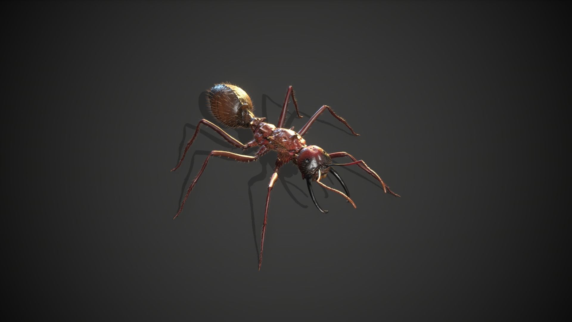 3D model Low poly Model of the character Ant Soldier VR / AR / low-poly ...