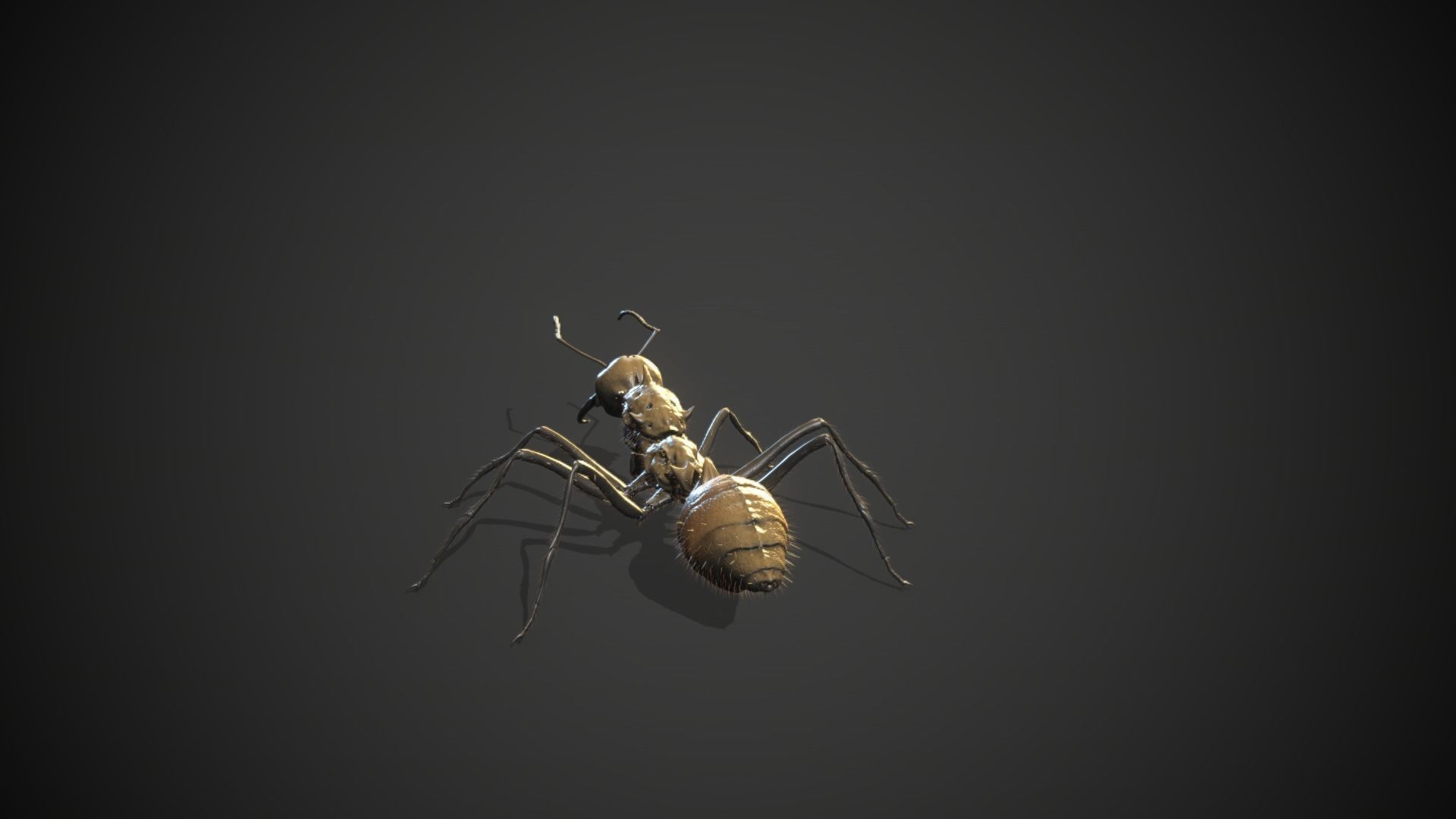 3D model Low poly Model of the character Ant Soldier VR / AR / low-poly ...
