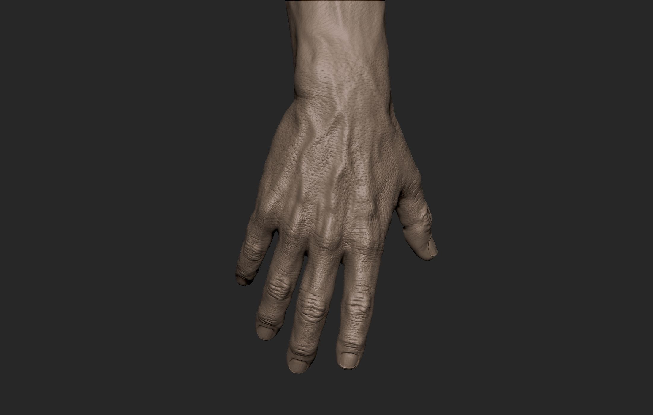 Realistic Male Hand Sculpt 1 3D model | CGTrader
