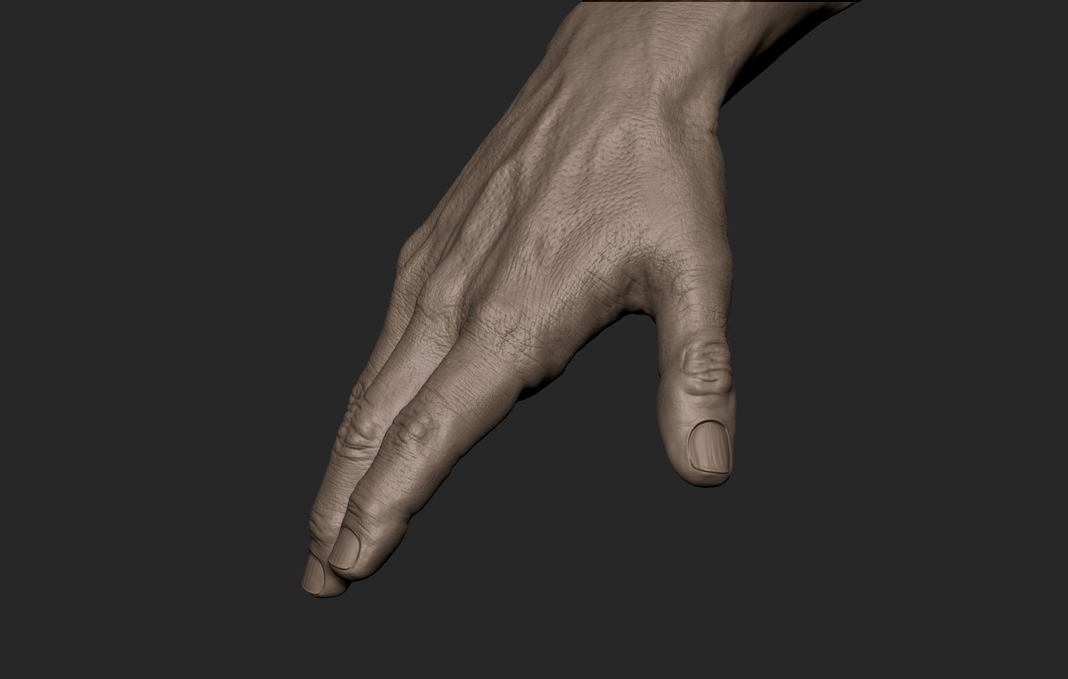 Realistic Male Hand Sculpt 1 3D model | CGTrader