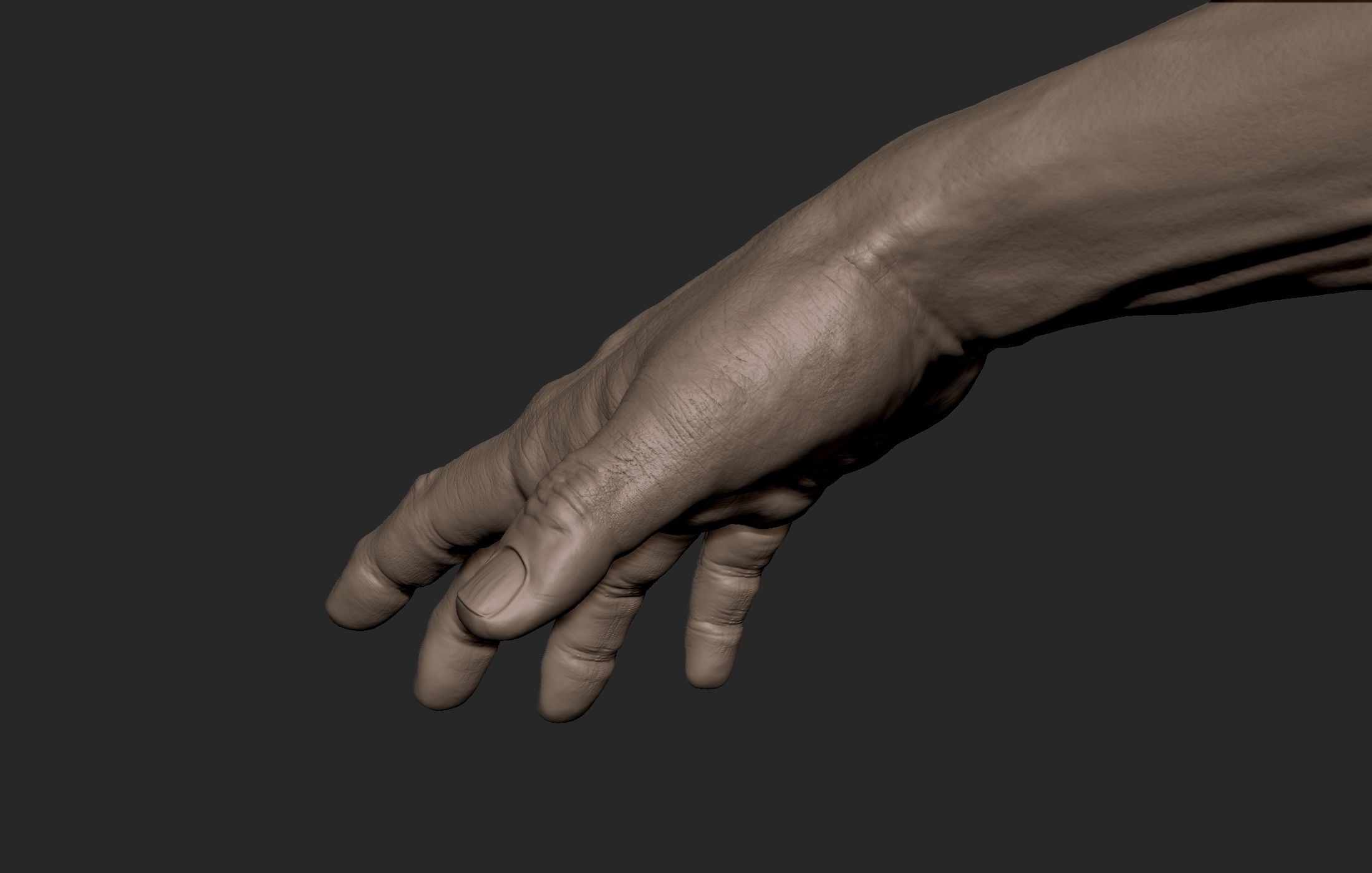 Realistic Male Hand Sculpt 1 3D model | CGTrader
