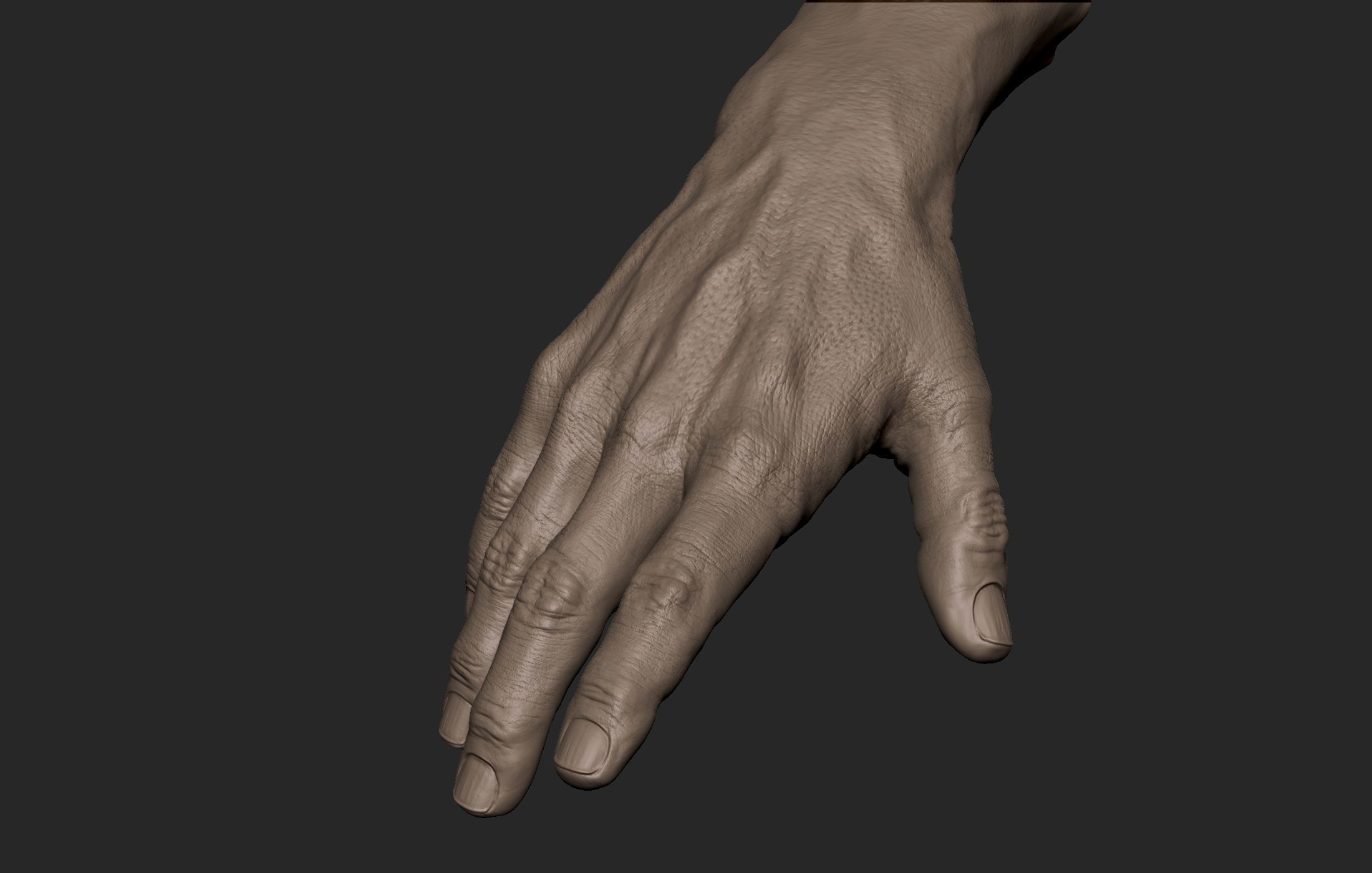 Realistic Male Hand Sculpt 1 3D model | CGTrader