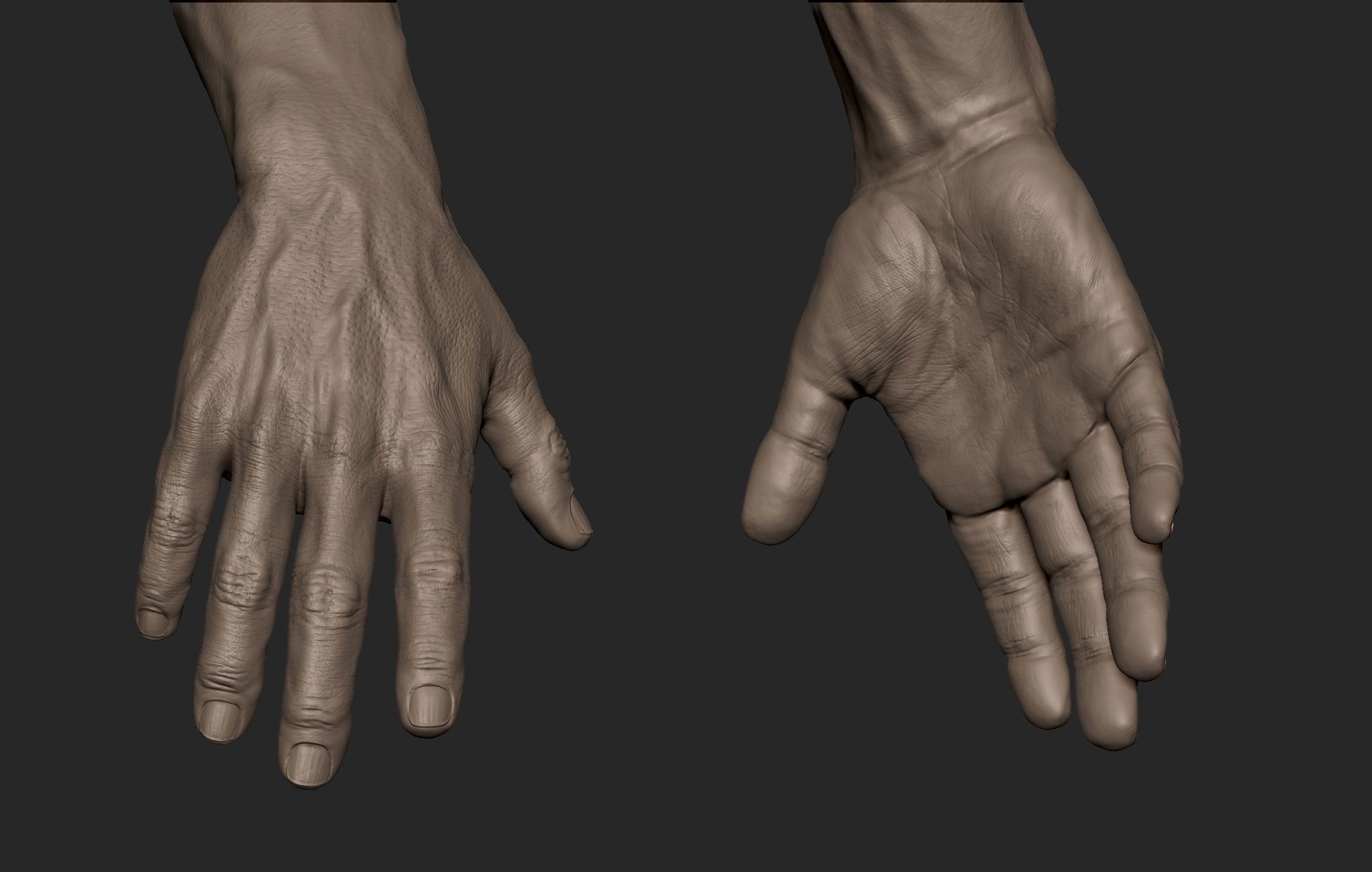 Realistic Male Hand Sculpt 1 3D model | CGTrader