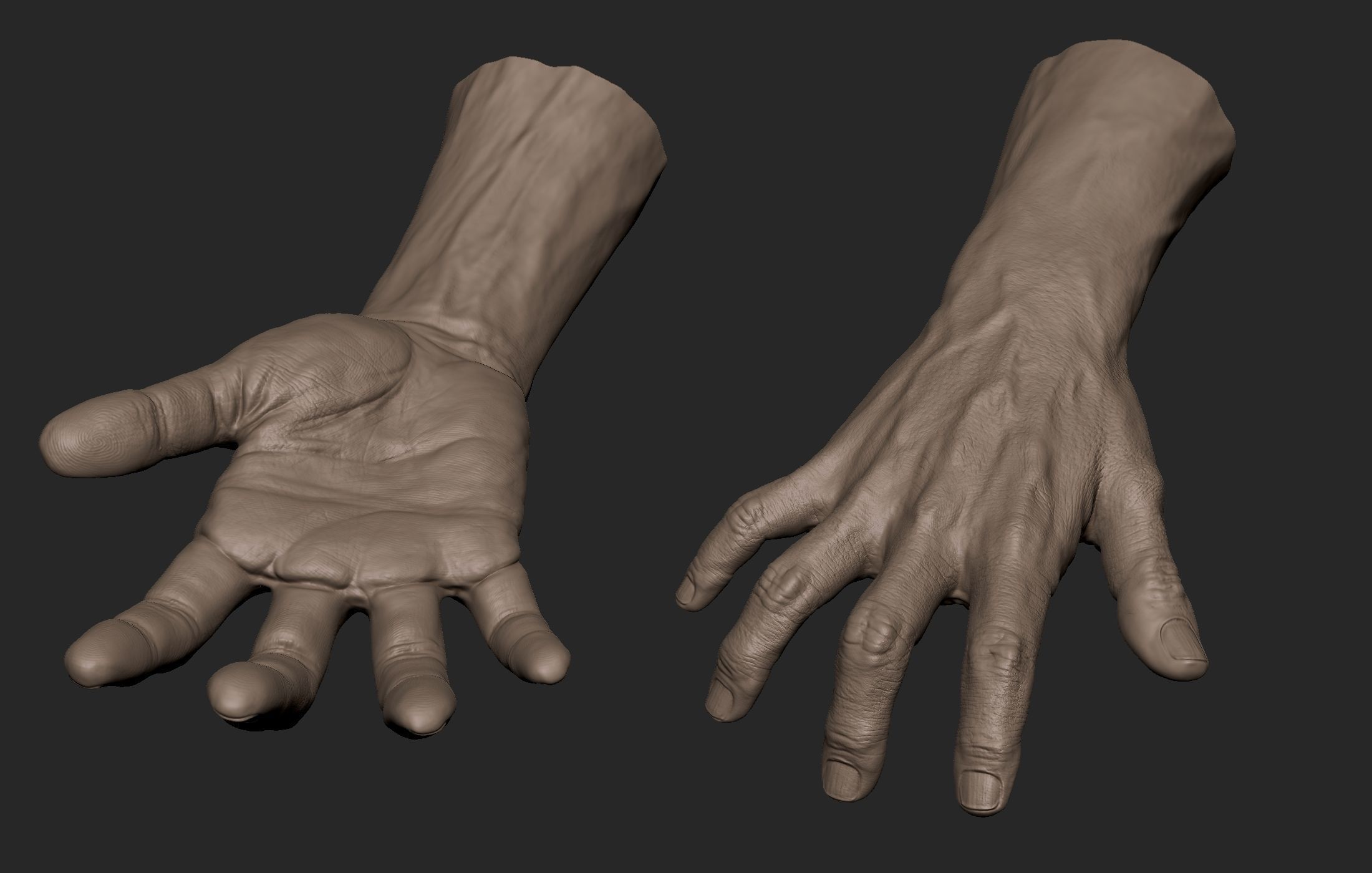 Realistic Male Hand Sculpt 2 3D model | CGTrader