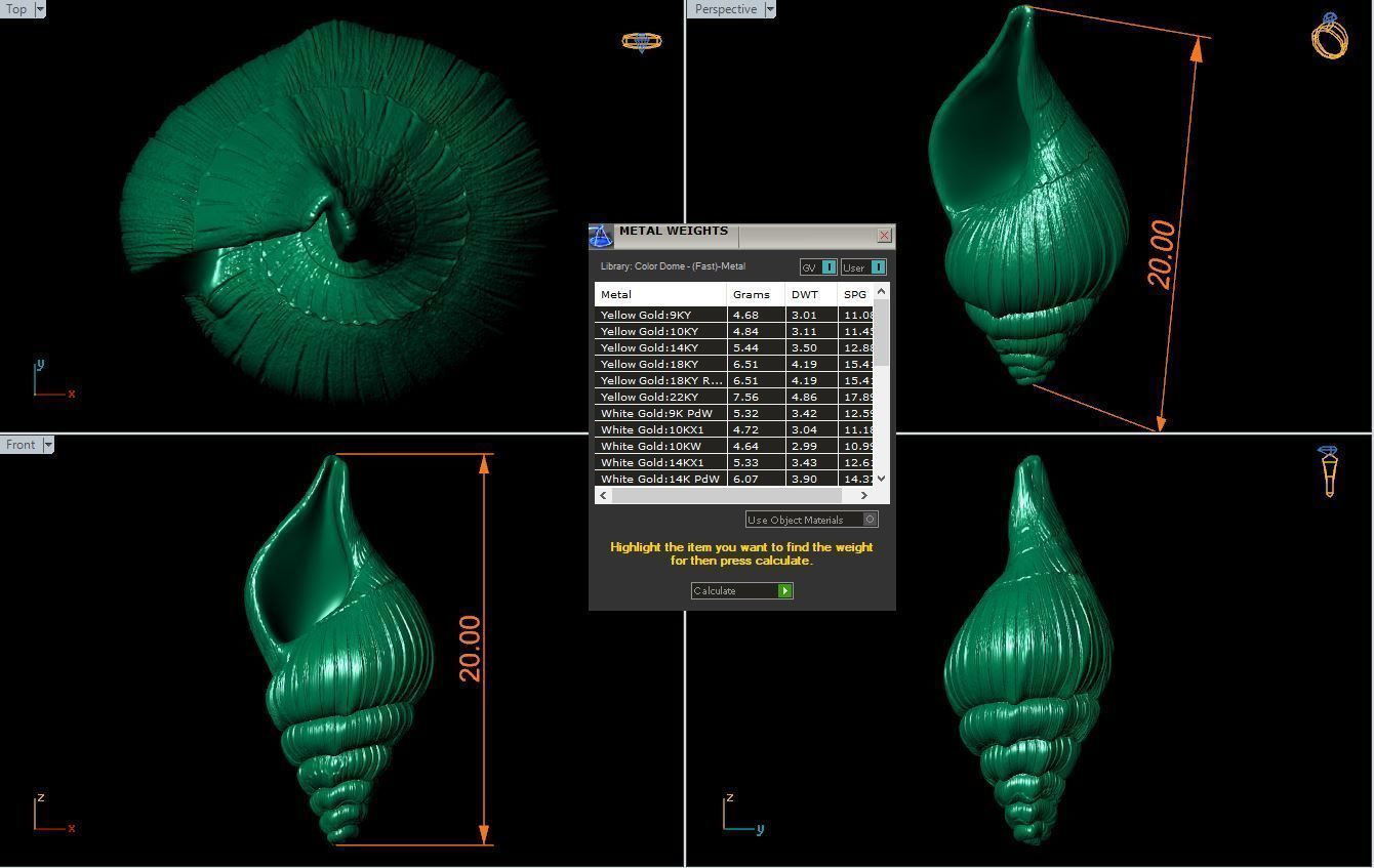 Shell 3D model conch 3D model | CGTrader