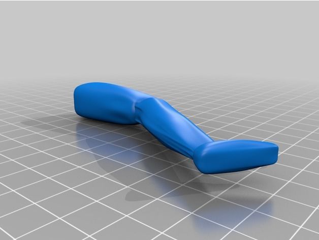 garpez leg 3D model | CGTrader