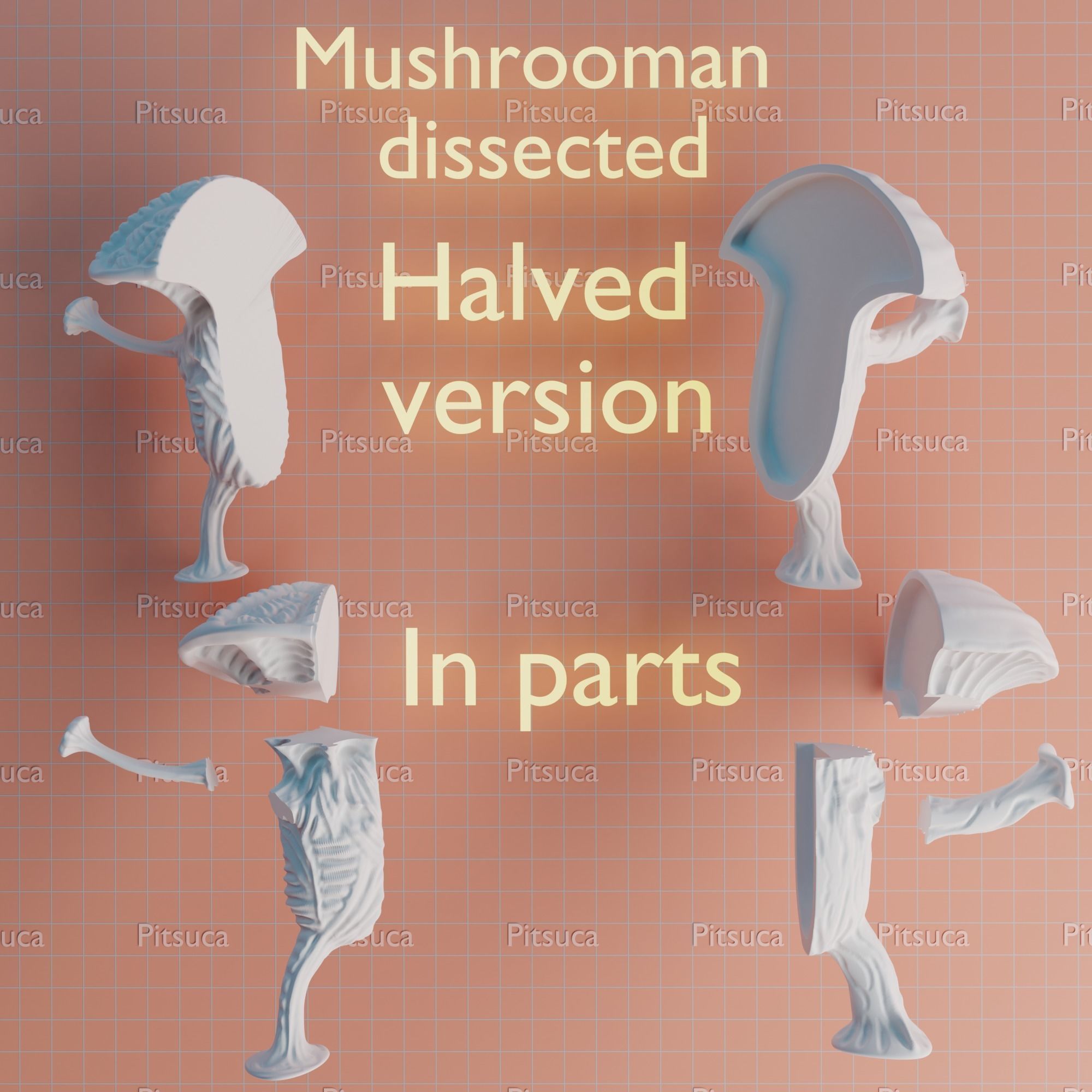 Mushrooman dissected fungi creature free 3D model 3D printable | CGTrader