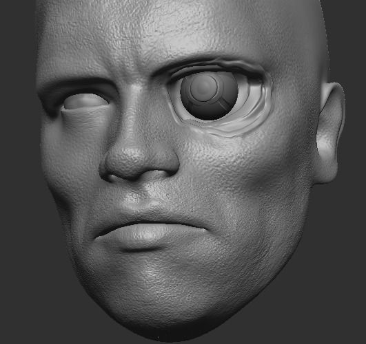 Terminator 1984 Arnold Schwarzenegger free 3D model 3D printable | CGTrader