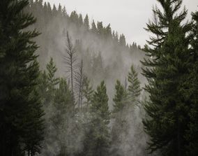 Fog 3D Models | CGTrader