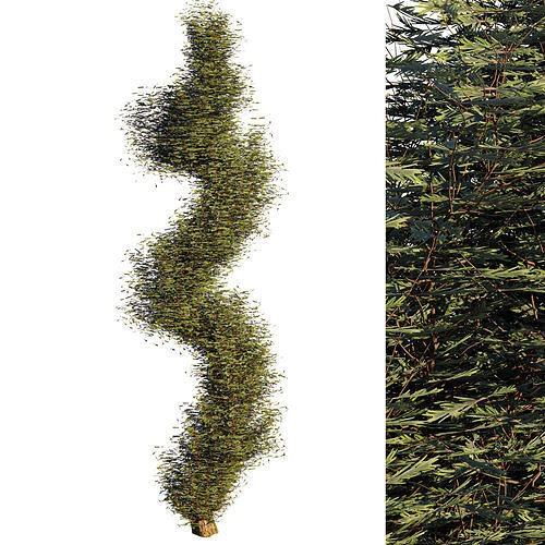 fut tree 3D model | CGTrader