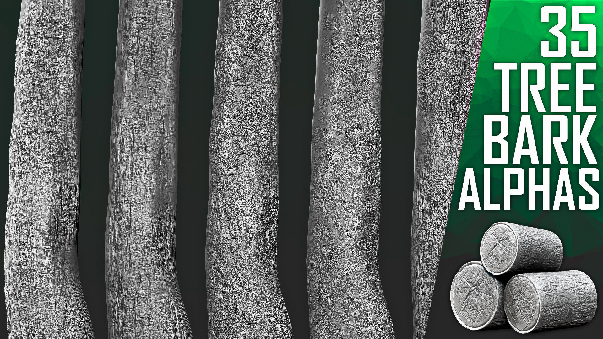 35 Tree Bark Alphas for ZBrush 3D model | CGTrader