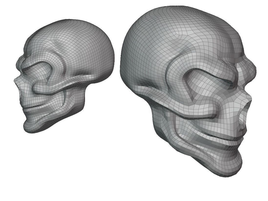 3D model base mesh skull VR / AR / low-poly | CGTrader
