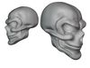 3D model base mesh skull VR / AR / low-poly | CGTrader