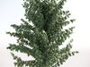 Realistic American Elm Young Animated free 3D model animated | CGTrader