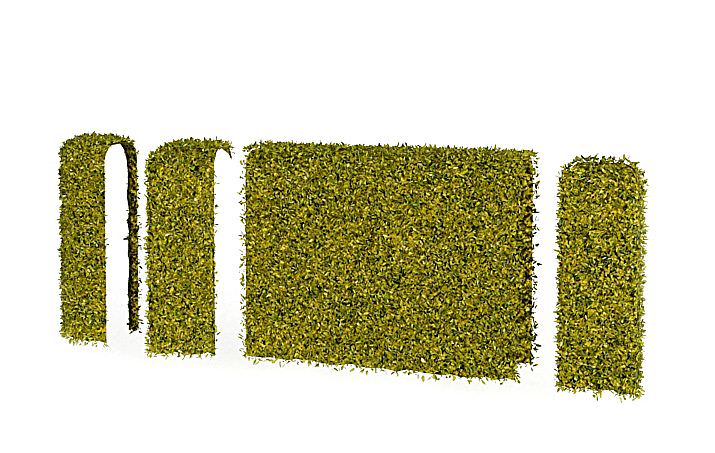 Green Rectangle Trimmed Hedges 3D model | CGTrader
