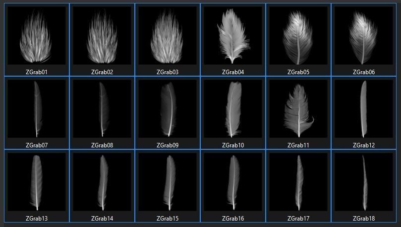 Feathers 18 high poly Alphas 4k 3D model | CGTrader