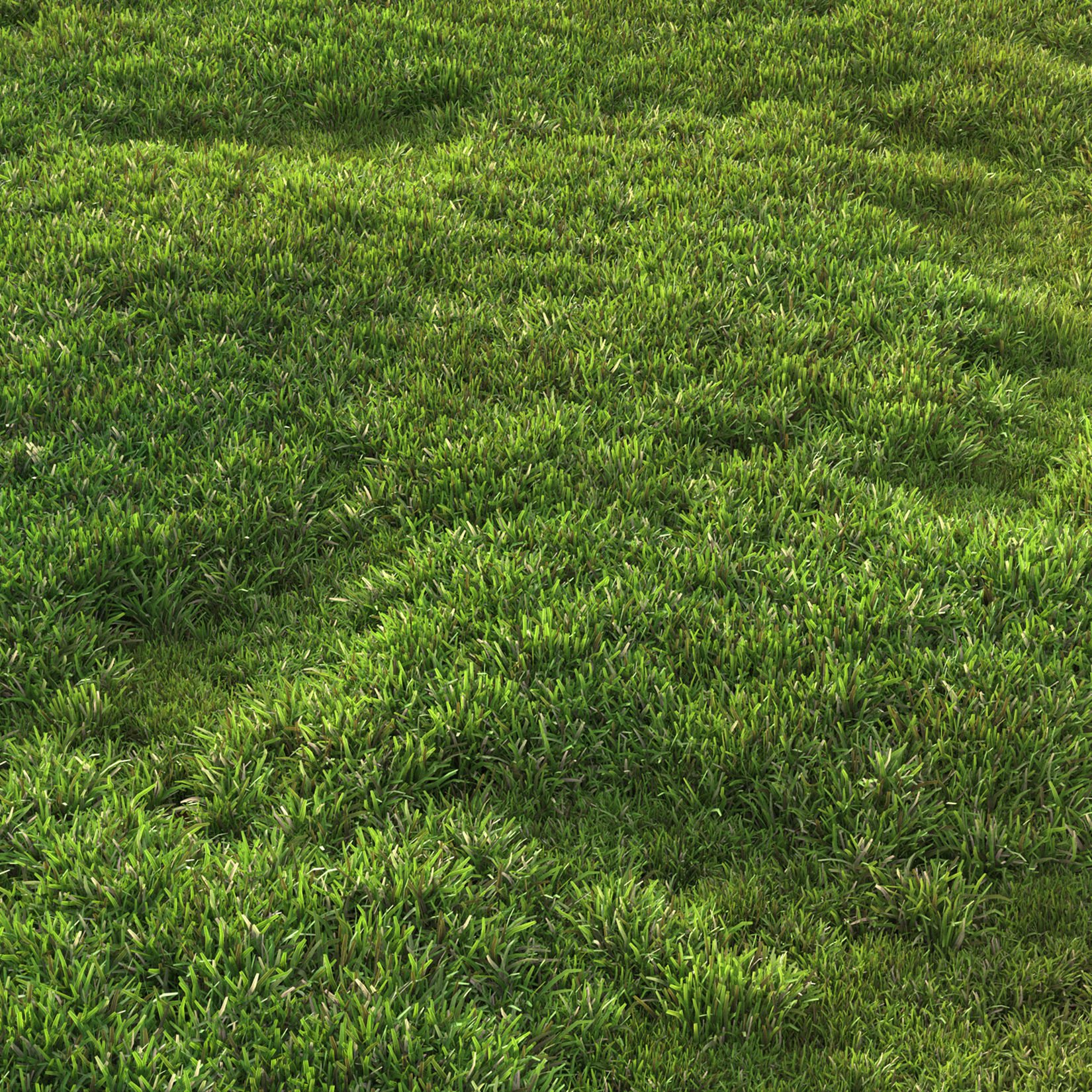 Tileable grass 3D model | CGTrader