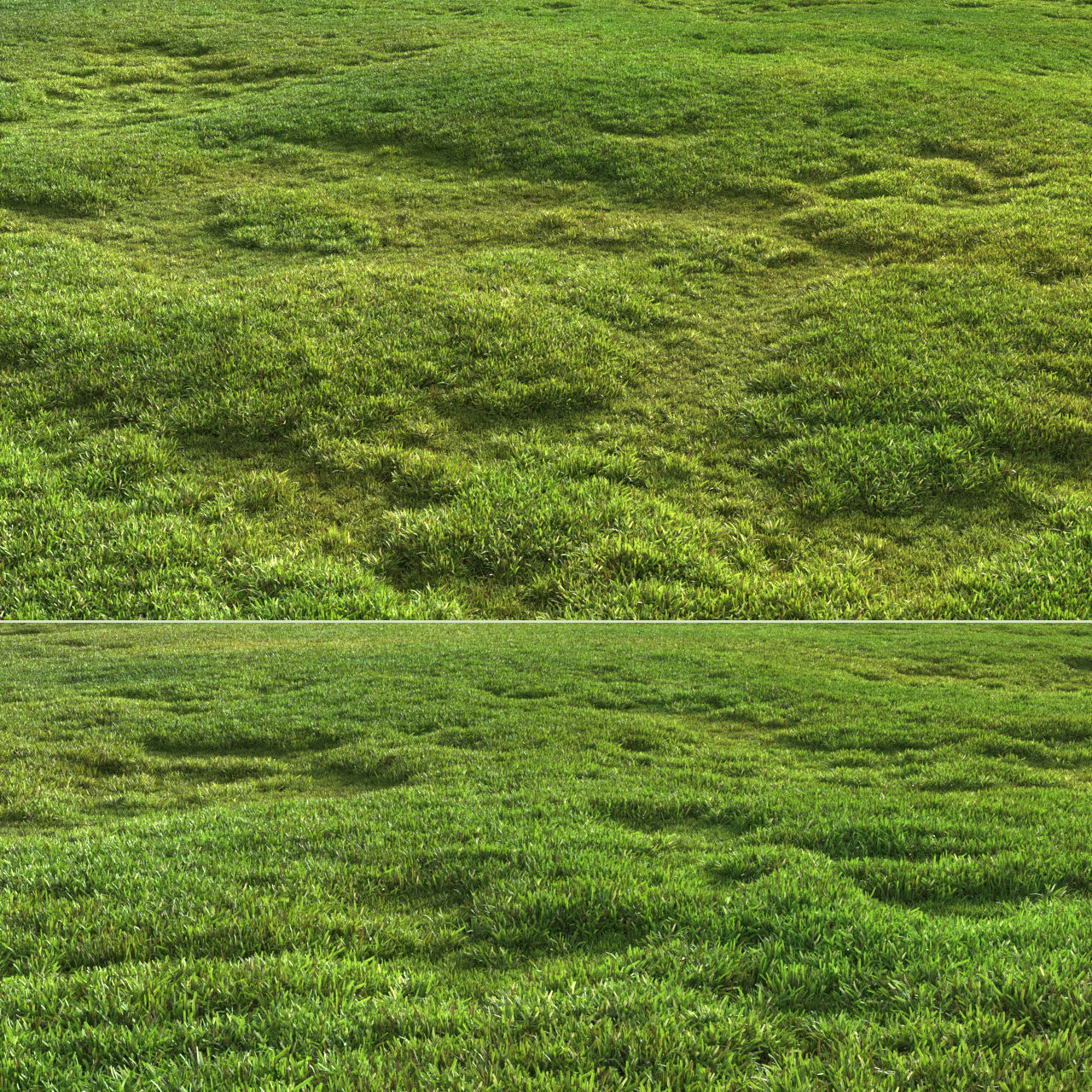 Tileable grass 3D model | CGTrader