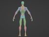 Stylized Male Anatomy Blockout V2 3D model | CGTrader
