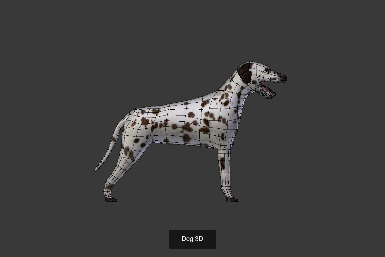 dogs 3D Model Collection dog VR / AR / low-poly | CGTrader