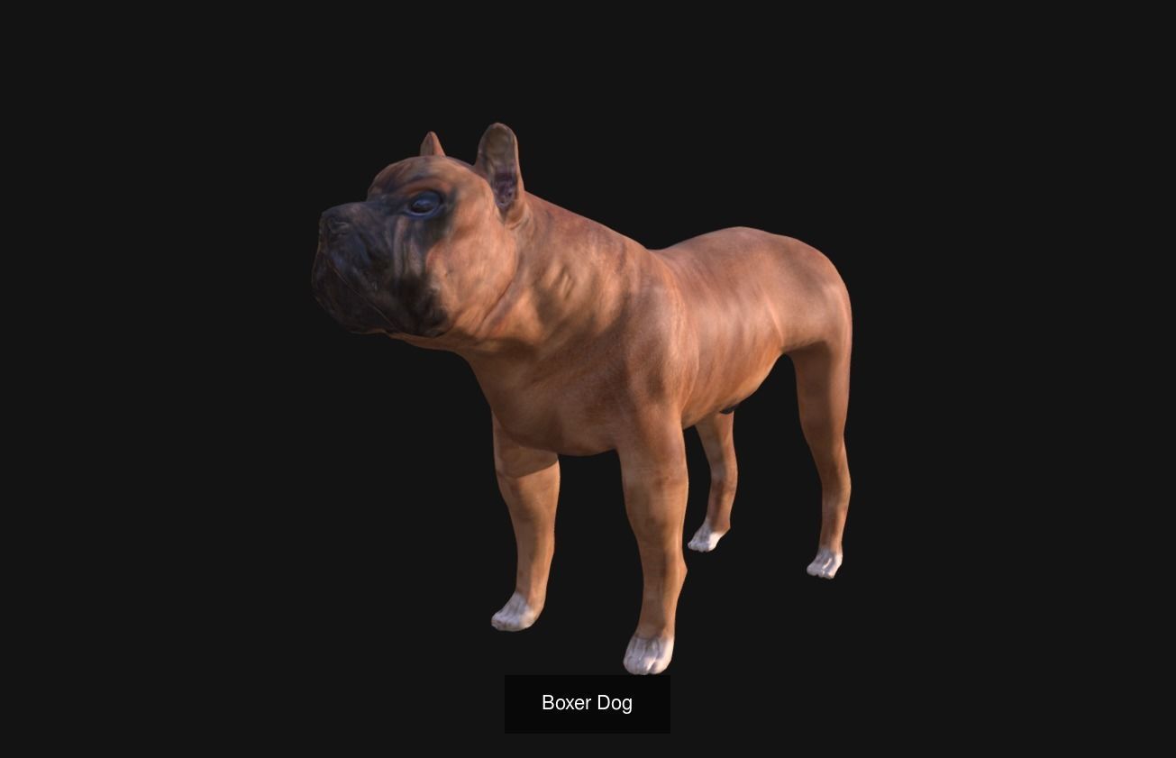 dogs 3D Model Collection dog VR / AR / low-poly | CGTrader