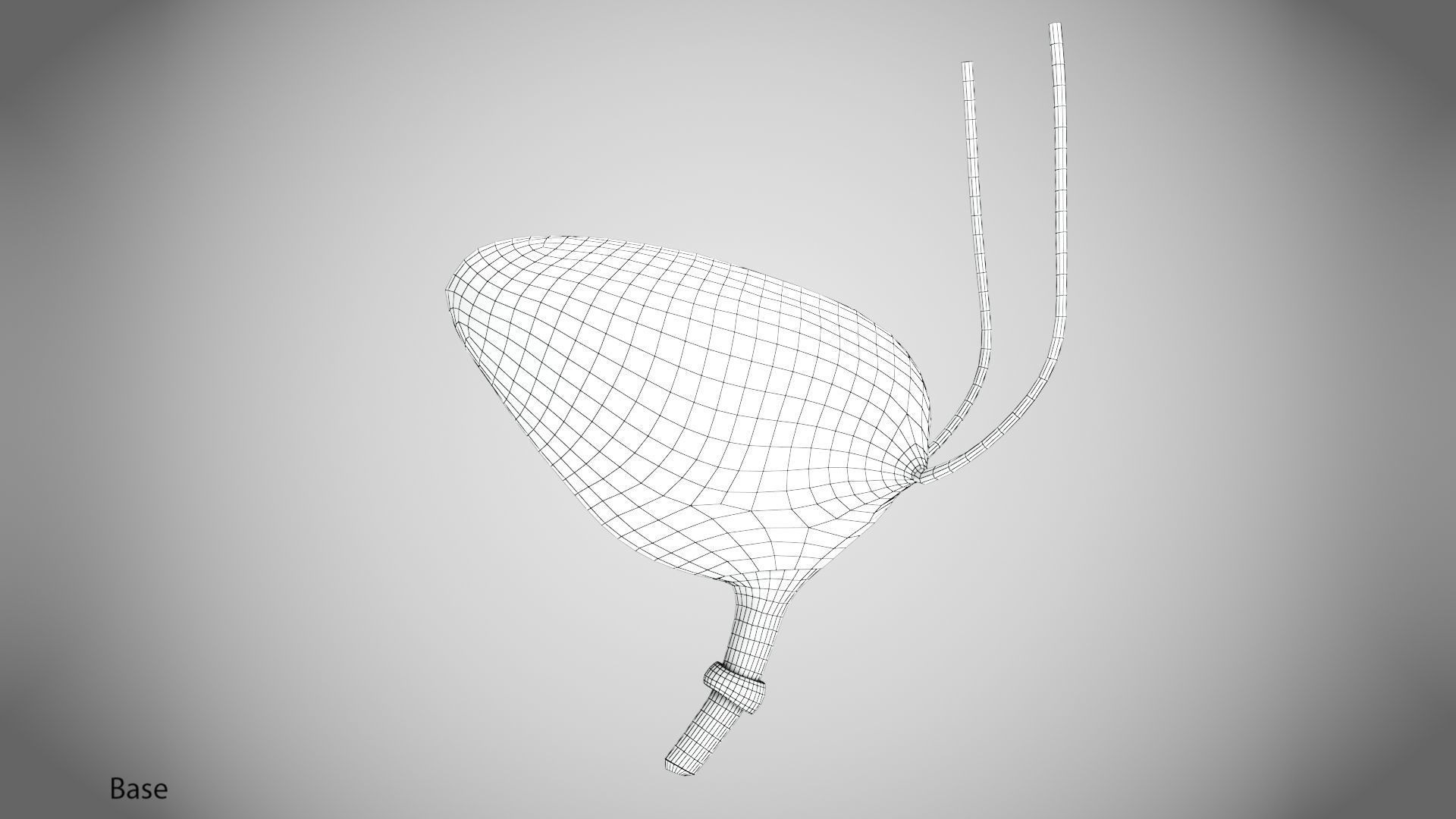 Bladder with Cross-Section 3D model | CGTrader