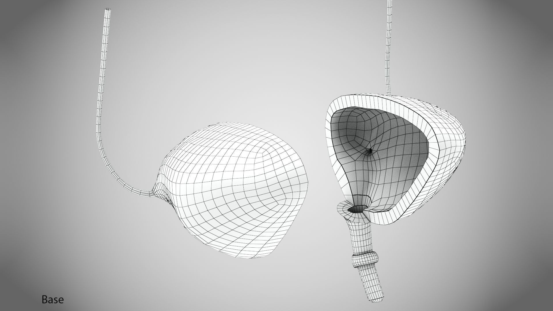 Bladder with Cross-Section 3D model | CGTrader