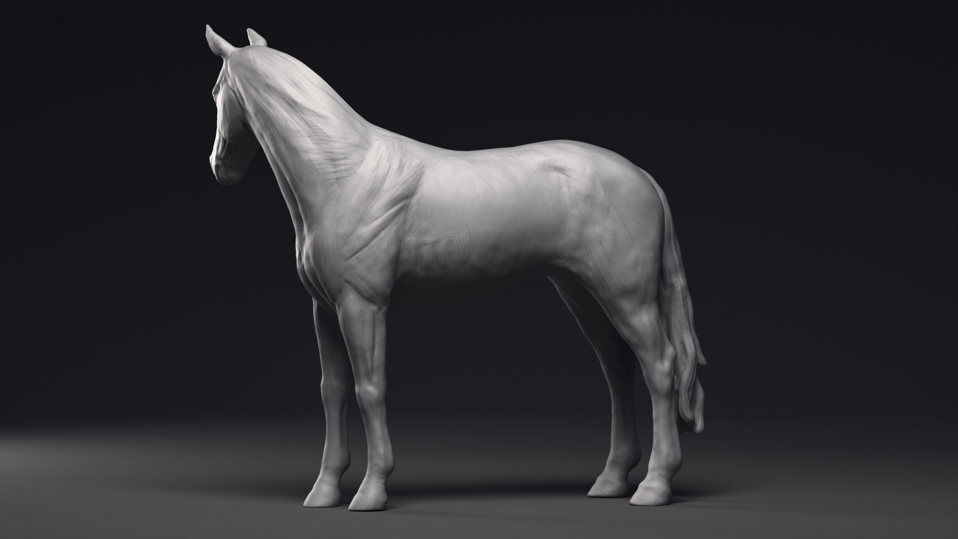 Study of a Horse Printable 3D Model 3D model 3D printable | CGTrader