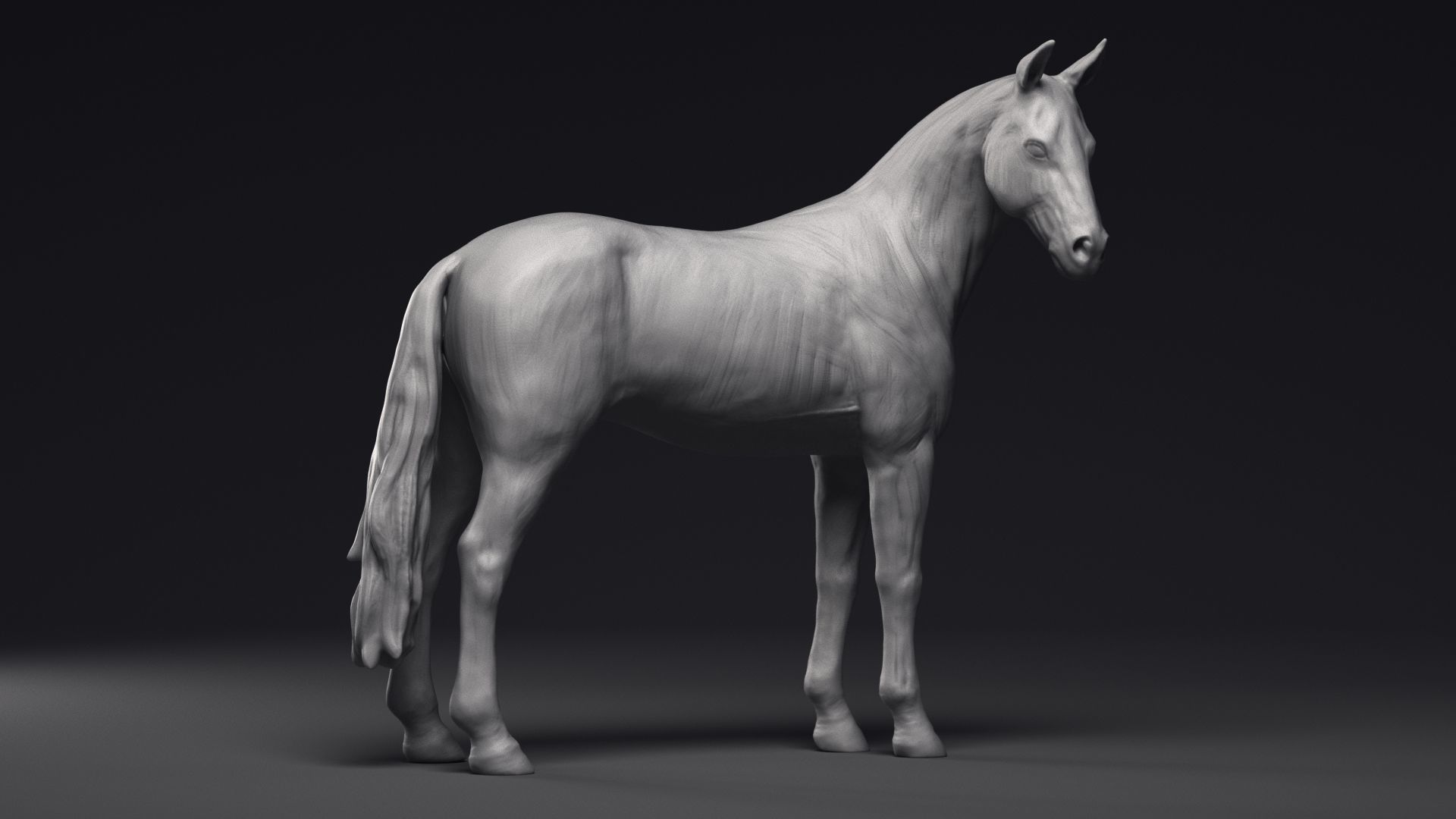 Study of a Horse Printable 3D Model 3D model 3D printable | CGTrader