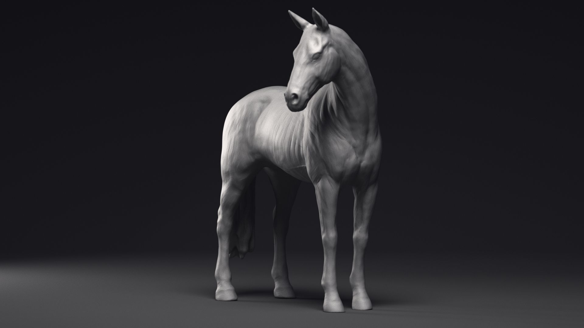 Study of a Horse Printable 3D Model 3D model 3D printable | CGTrader